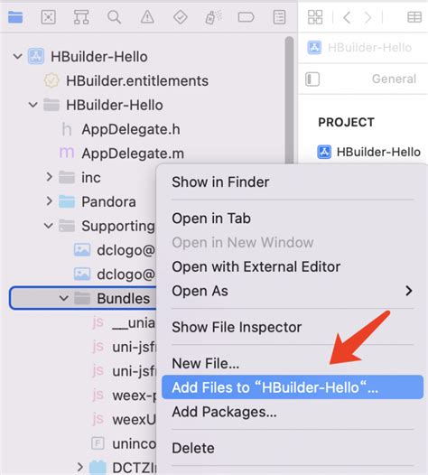 Uniapp Ios离线打包缺少camera模块和gallery模块的解决办法 跟志博学编程
