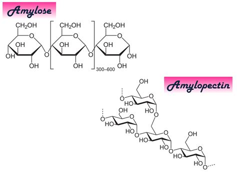 Chemical Formula For Starch