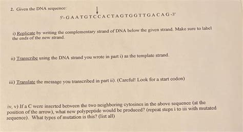 Solved 2 Given The DNA Sequence 5 G A A T G T C C A CT A Chegg Com
