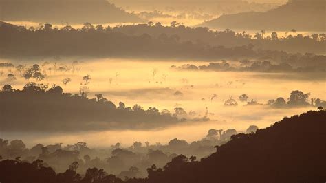 Bing Image World Rainforest Day Bing Wallpaper Gallery