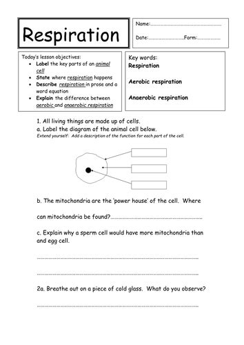 Respiration Igcsegcse Worksheet Teaching Resources
