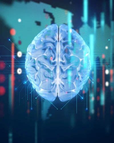 Nlp Neuro Linguistic Programming Service In Bengaluru Id