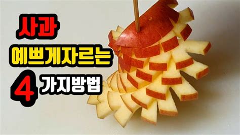 찐주부🍎사과예쁘게자르는4가지방법💛사과아트 과일예쁘게자르기사과예쁘게자르는법과일예쁘게자르는법사과플레이팅과일플레이팅사과