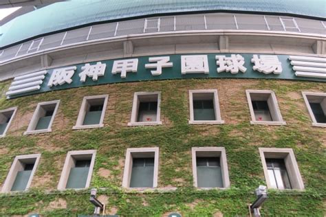 太好吃了！阪神甲子園球場的推薦球場美食10選 Seeingjapan
