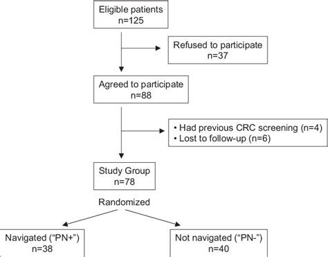 Selection And Randomization Of Subjects Download Scientific Diagram