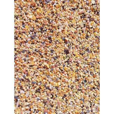 อาหารนกผสม ดอกหญ้าลูก อาหารนกเขา นกเขาชวา นกเขาใหญ่ 1กิโลกรัม N Nniinna Thaipick