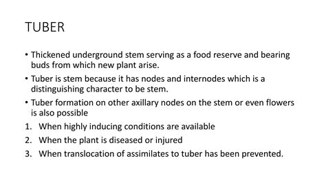 Tuberization In Potato Pptx
