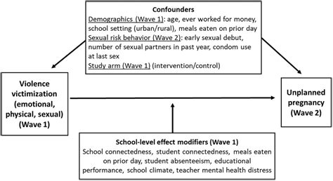 Conceptual Framework Informed Analysis Of The Association Between Download Scientific Diagram