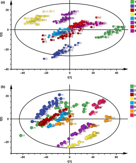 principal component analysis score cluster plots for chinese dianhong