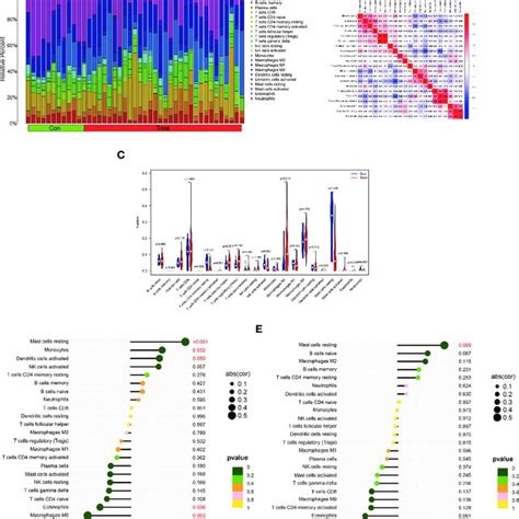 Distribution And Visualization Of Immune Cell Infiltration And