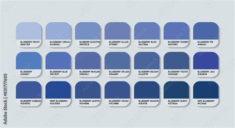 Blue Berry Color Guide Palette With Color Names Catalog Samples Are