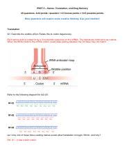 2019s PSET 6 KEY Pdf PSET 5 Genes Translation And Drug Delivery 45 Questions 0 24 Points