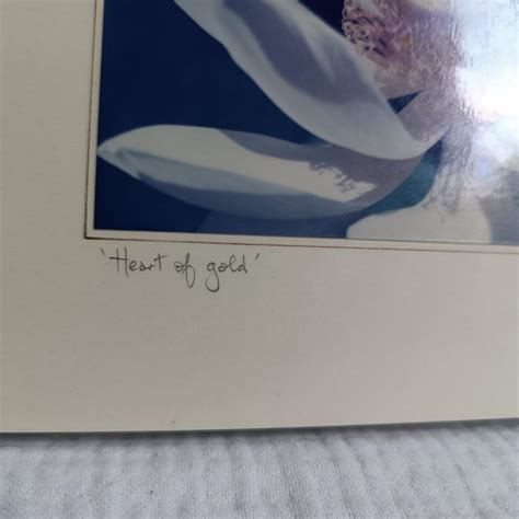 Julie Baigent Signed Photo Picture Wall Art 4pcs Hobbies And Toys Memorabilia And Collectibles