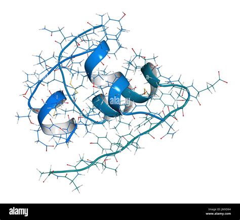 Insulin Peptide Hormone Important Drug In Treatment Of Diabetes