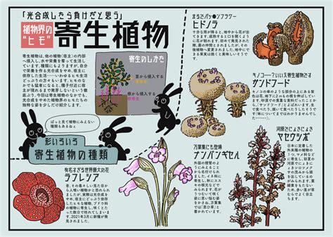 Masu C On Twitter