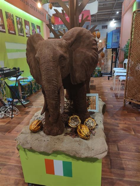 28e édition du Salon du Chocolat à Paris la Côte dIvoire