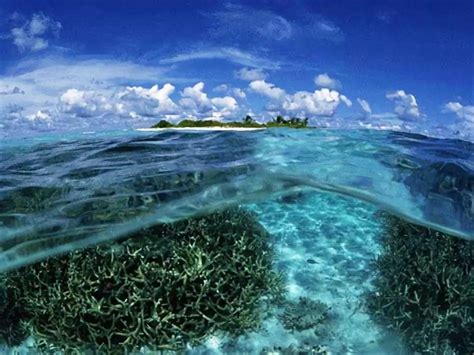 分析南海“搁置争议 共同开发” Rsis提出新思路 知乎