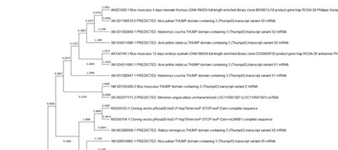 如何建立“系统进化树”并确认菌种种属？ 知乎