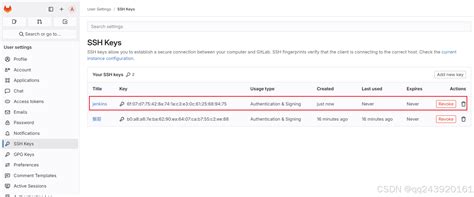 Jenkins整合docker实现cicd自动化部署（若依项目）jenkins Docker Cicd Csdn博客