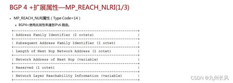MP BGP报文详解 CSDN博客