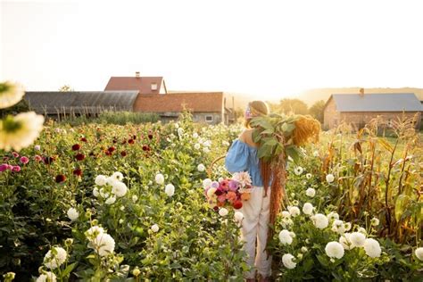Premium Photo Woman Carries Lots Of Freshly Picked Up Flowers At Farm
