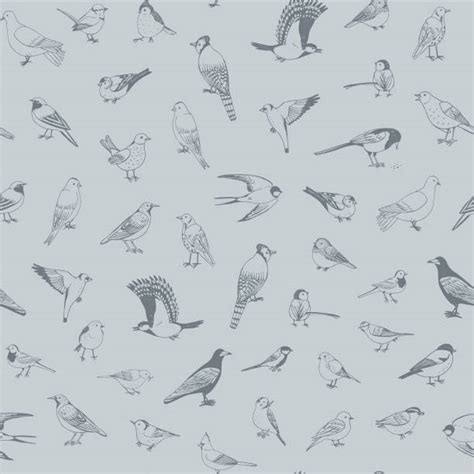 Junco Bird Illustrations Royalty Free Vector Graphics And Clip Art Istock