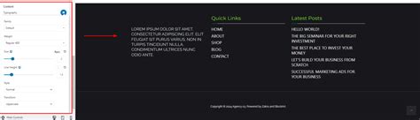 How To Change The Typography Of Footer Widgets Pro Docs Zakratheme