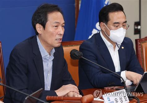 민주비대위 절충안 당헌 유지기소시 당직정지·당무위 구제종합 나무뉴스