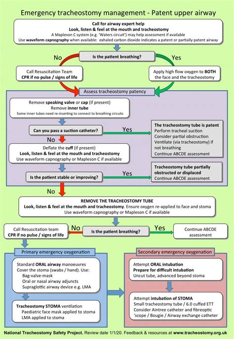 Tracheostomy Overview Procedure Types Emergencies Geeky Medics