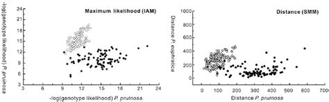 Individual Assignment Based On Maximum Likelihood Analyses Of Nuclear