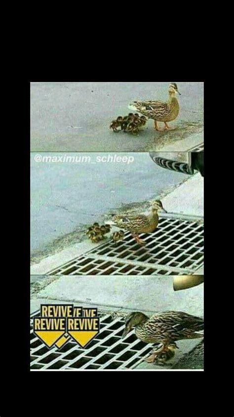 Git Gud 9GAG