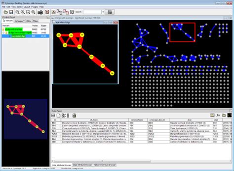 Disease Groups And Their Significant Overlaps Cytoscape Is Used To