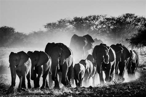 Stéphane Bergès on Twitter All Life has just one home the earth