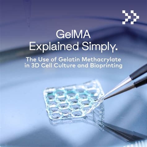 3dbioprinting Gelma Bioinks Cellink Cellink