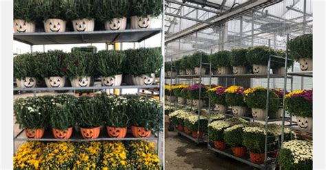 Kurtz Farms