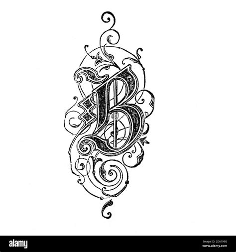 Fancy Calligraphy Letter B 530 Fancy Letter B Drawing Stock