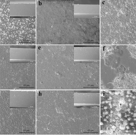 Sem Photographs Of The Surface And Cross Sections Inset Of The Films