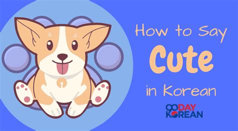 10 Cách Nói Cute Bằng Tiếng Hàn Cute In Korean đáng Yêu Và Dễ Thương