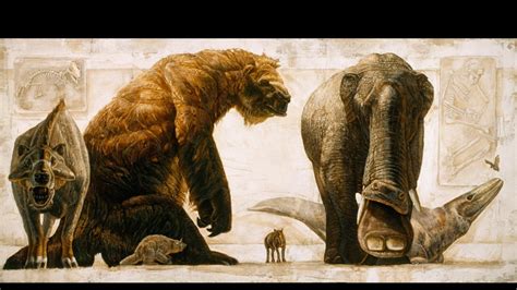Mammal Evolution Meet The First Mammals Pictures Info