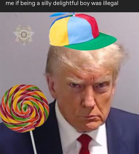 Propeller Hat Dog Image Gallery List View List View Know Your Meme
