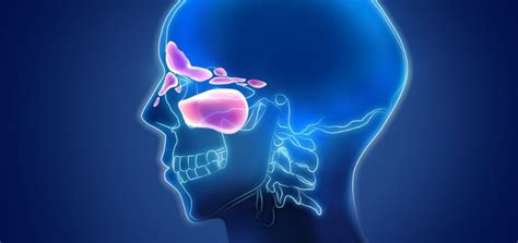 When Do Nasal Polyps Need To Be Removed Ask The Experts