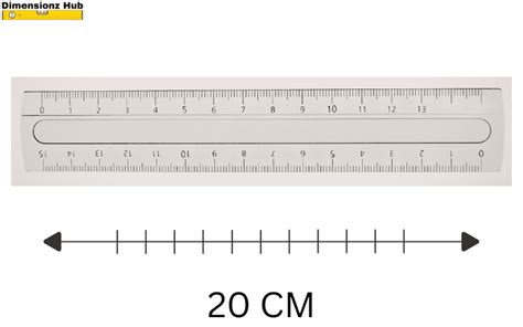 15 Common Everyday Things That Are About 20 Cm Big