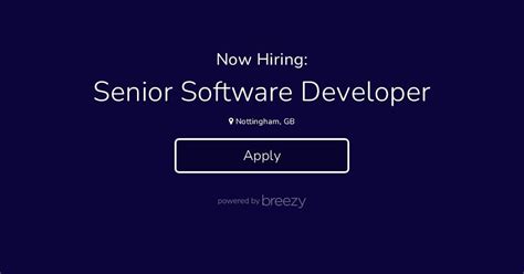 Senior Software Developer At Onyx Insight