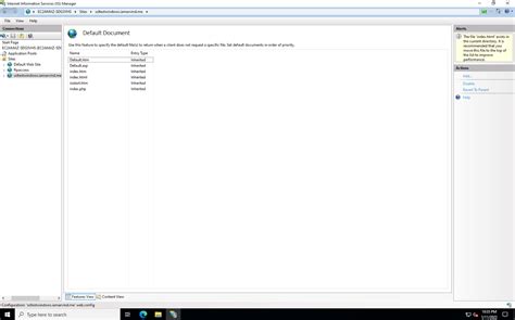 How To Change The Website Keeps Showing The IIS Windows Server Page