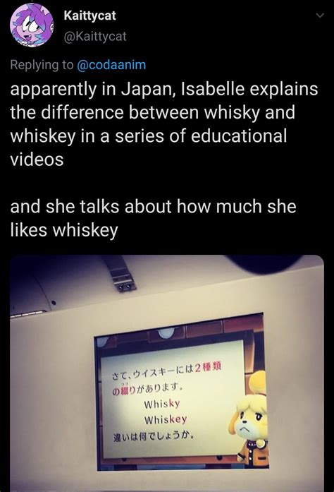 Why Isabelle Drinks Whiskey R Ac Newhorizons