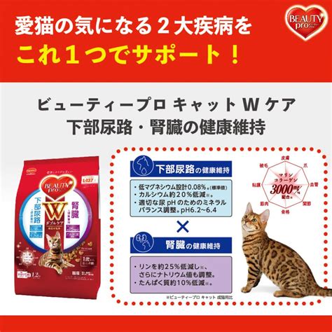 ビューティープロ キャットフード ビューティープロ キャット Wケア 下部尿路・腎臓の健康 1．2kg（240g×5袋） チャーム