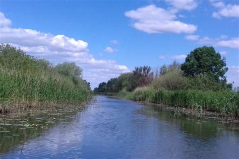 Врятованих після підриву Каховської дамби «херсонців розселили у