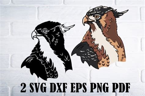 Eagle Svg Dxf Png Clipart Graphic By Anny White · Creative Fabrica