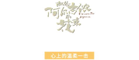 【珠海】2021音乐剧献给阿尔吉侬的花束珠海站门票 时间票价 在线选座 看看票务