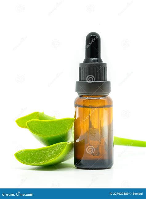 芦荟精油切片芦荟 白色背景垂直模板的孤立图像 已清除的空白 库存照片 图片 包括有 绿色 有机 227027880